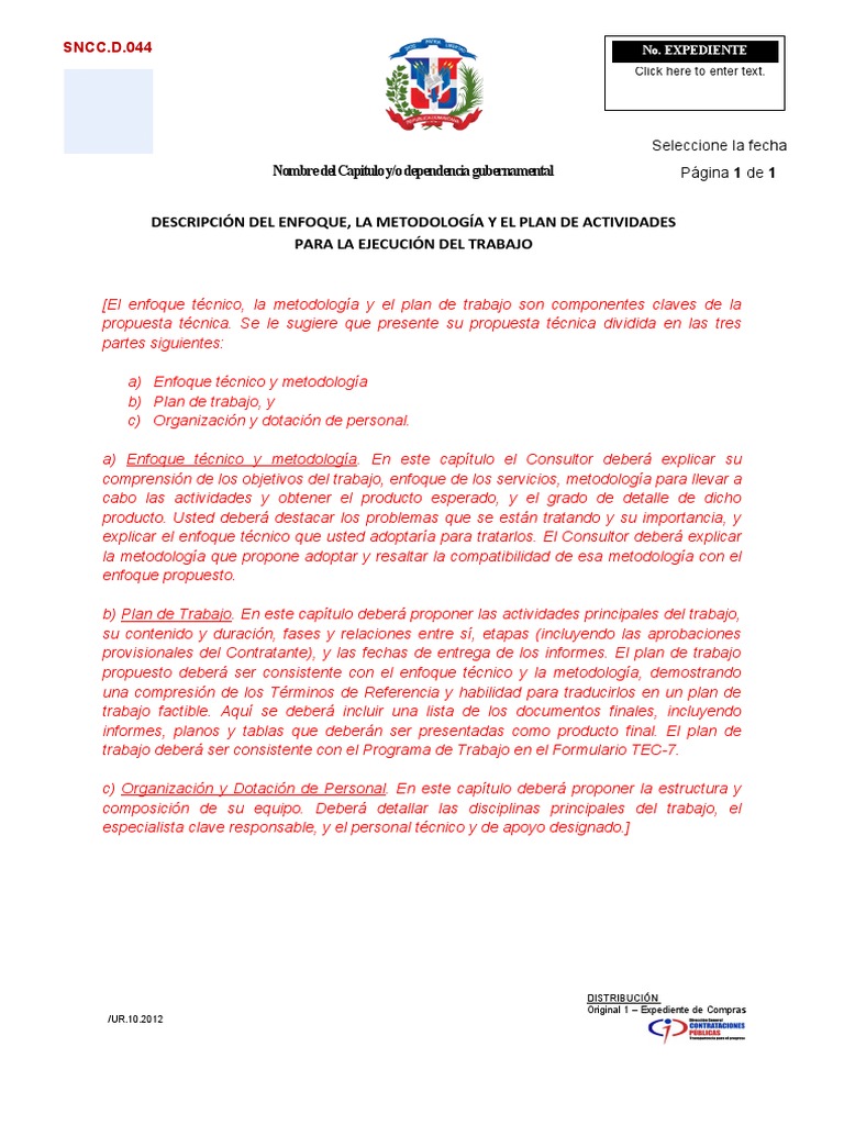 SNCC D044 Enfoque y Metodologia | PDF