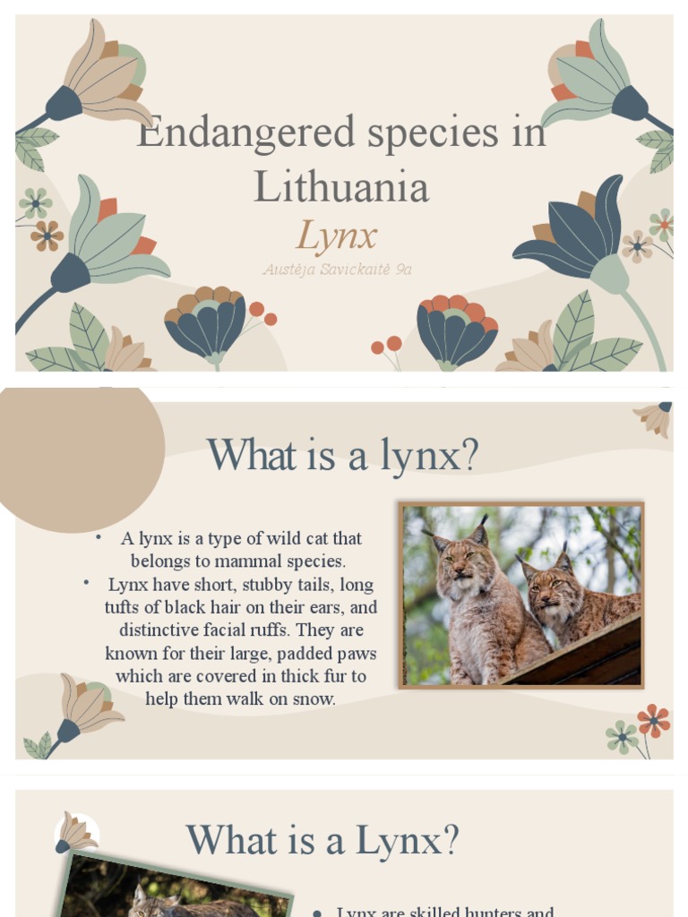 Endangered Species in Lithuania | PDF | Lynx | Hunting