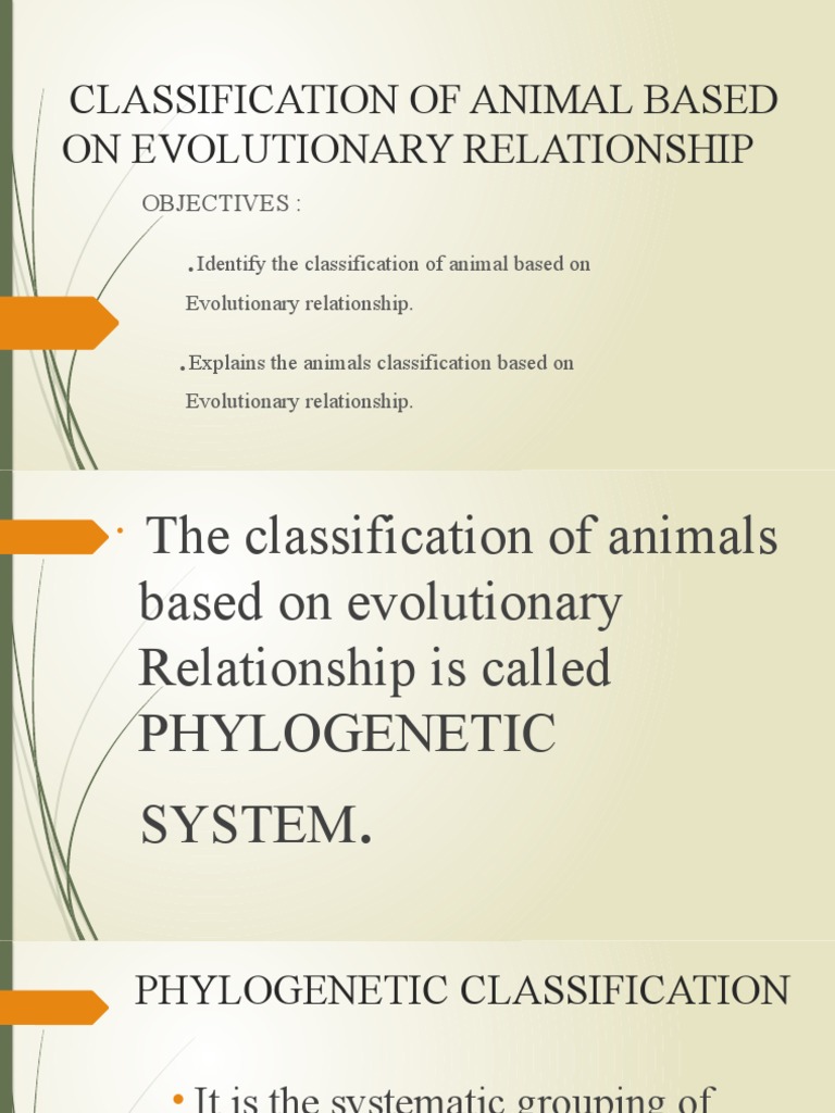 Classification of Animal Based On Evolutionary Relationship | PDF | Self-Improvement | Wellness