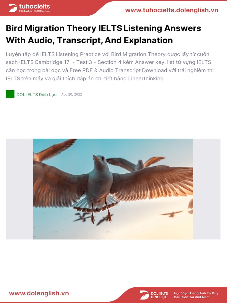 Bird Migration Theory | PDF | Social Science