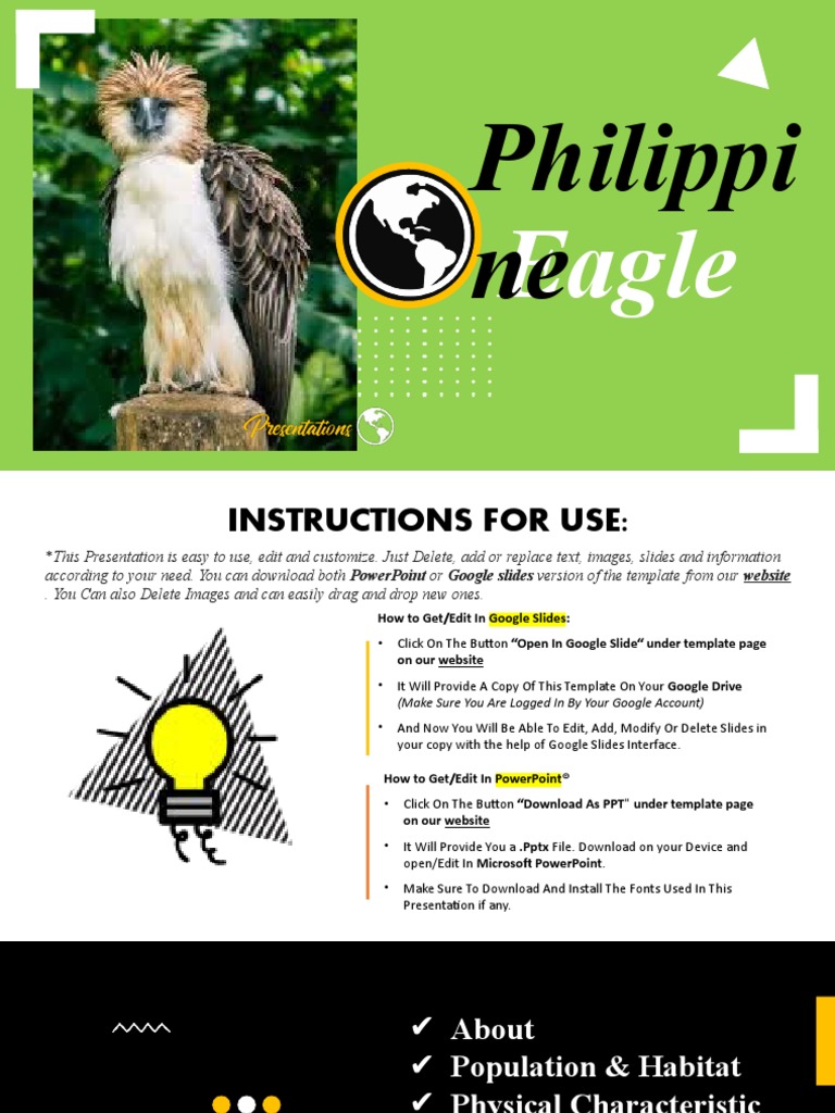 037 Free Falcon Google Slides Themes | PDF