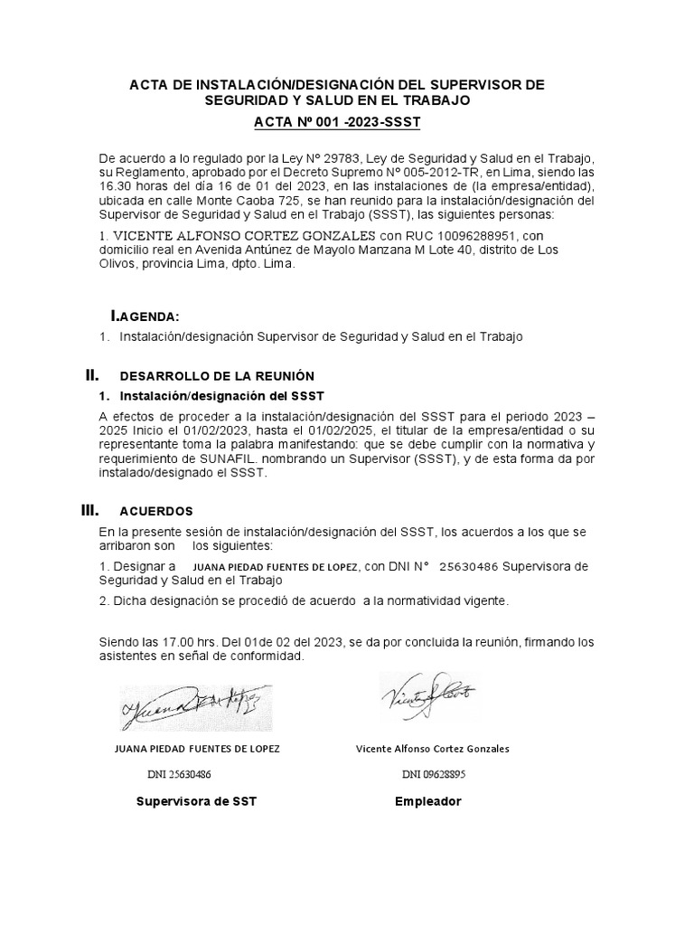 Acta de Instalación Sunafil (SSST) 23 | PDF