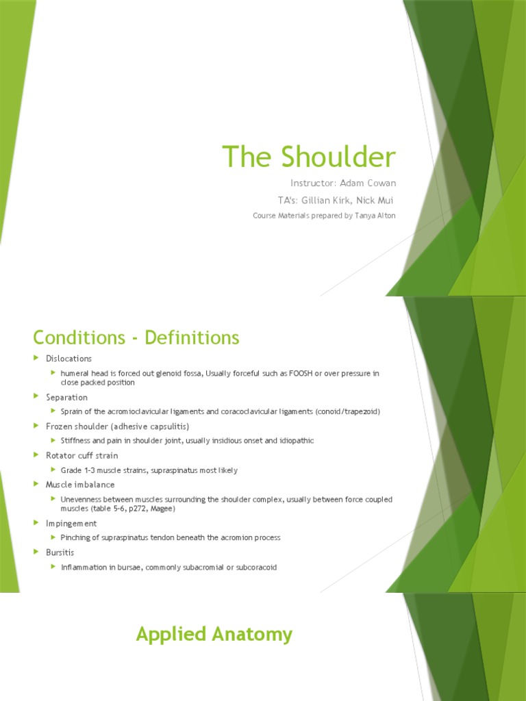 Shoulder - Lecture | PDF | Shoulder | Anatomical Terms Of Motion