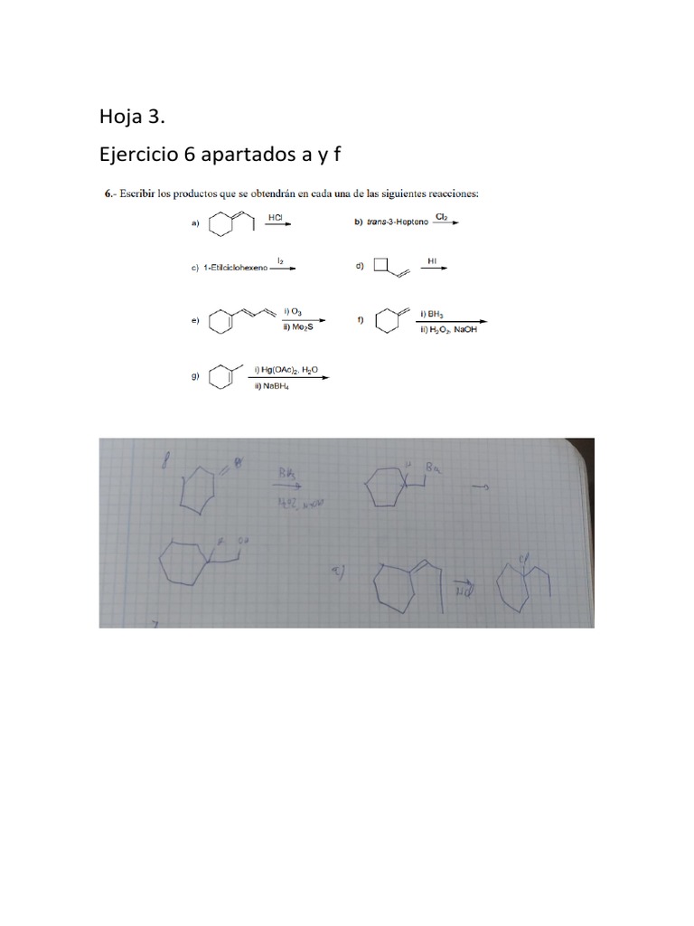 EJ 6 A y F Hoja 3 Organica PDF | PDF
