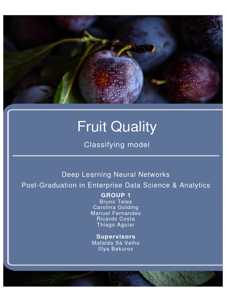 Fruit Quality Classifier - Group 1 | PDF