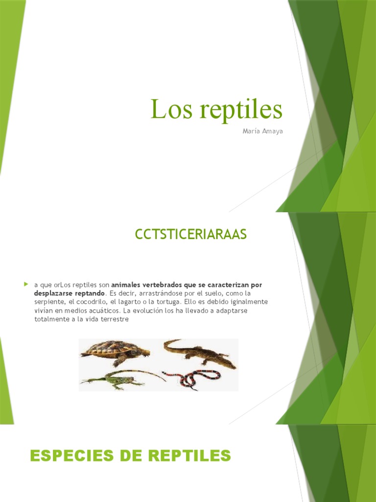 Los REPTILES | PDF
