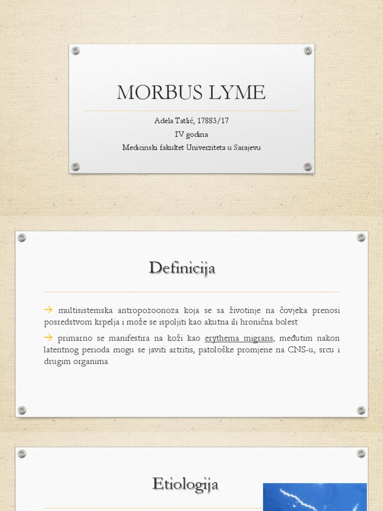 MORBUS LYME, Adela Tatlić PDF | PDF