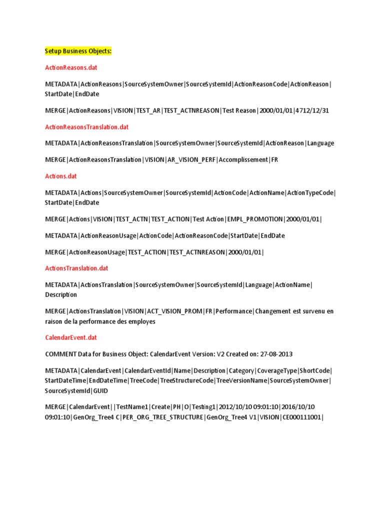 Setup Business Objects for HDL | PDF | Computer File | Computing