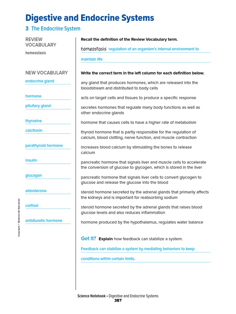 Bio SN M25 L03 676019 Digital TE | PDF