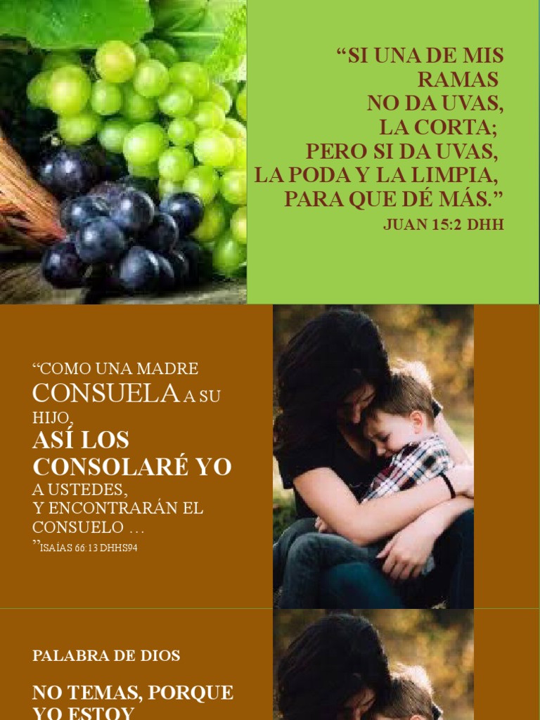 Consuelo | PDF