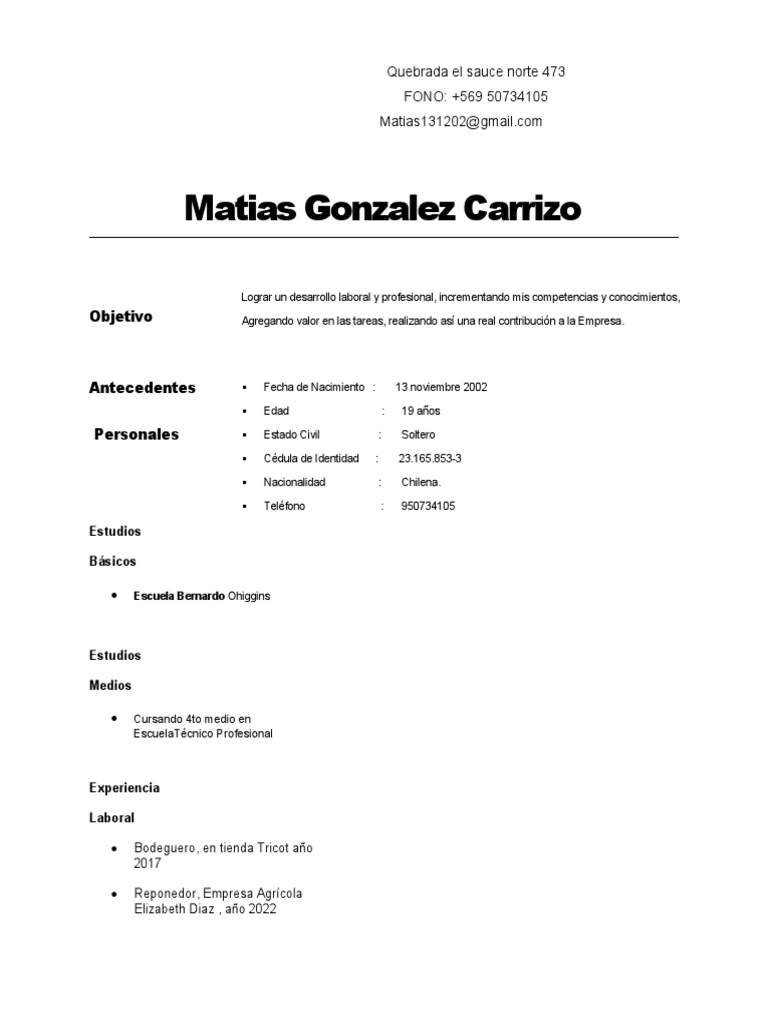 Curriculum MATIAS GONZALEZ | PDF