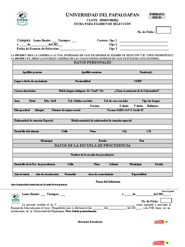 Formato Dse-01 Fichas 2023 | PDF