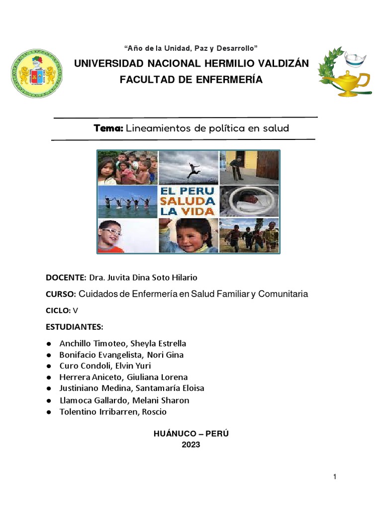 Lineamientos de Política en Salud PDF | PDF