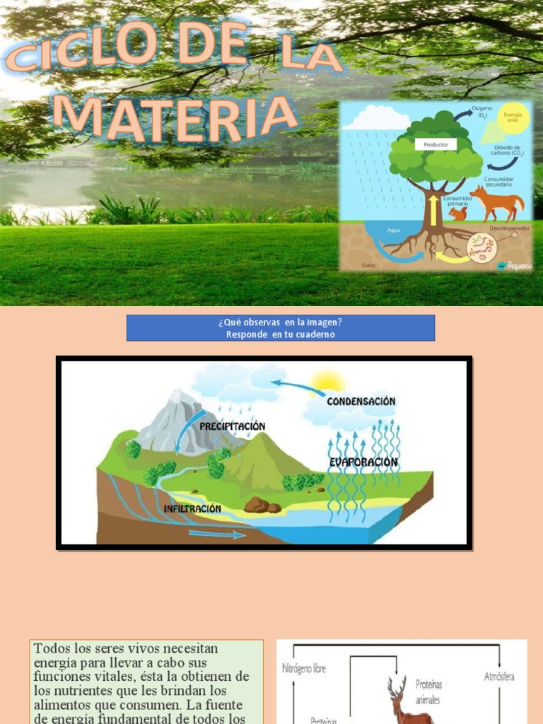 CICLO DE LA MATERIA Completo | PDF