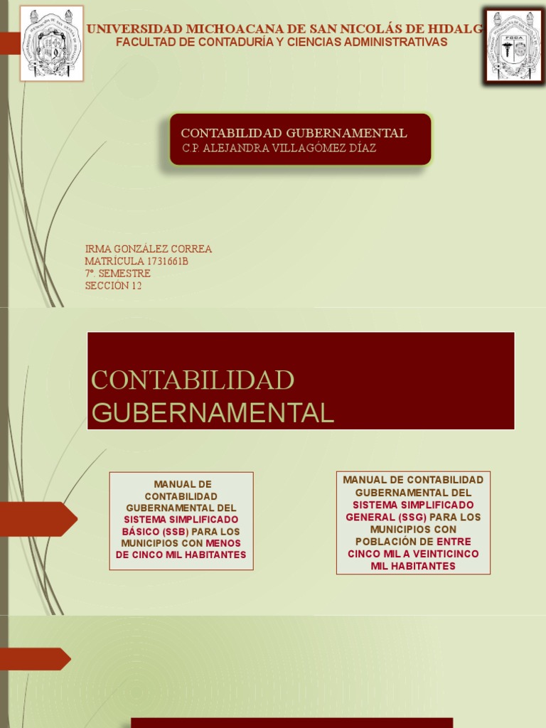 Contabilidad Gubernamental | PDF