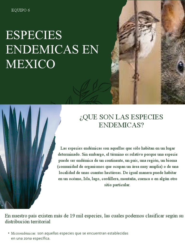 Especies Endémicas de México | PDF