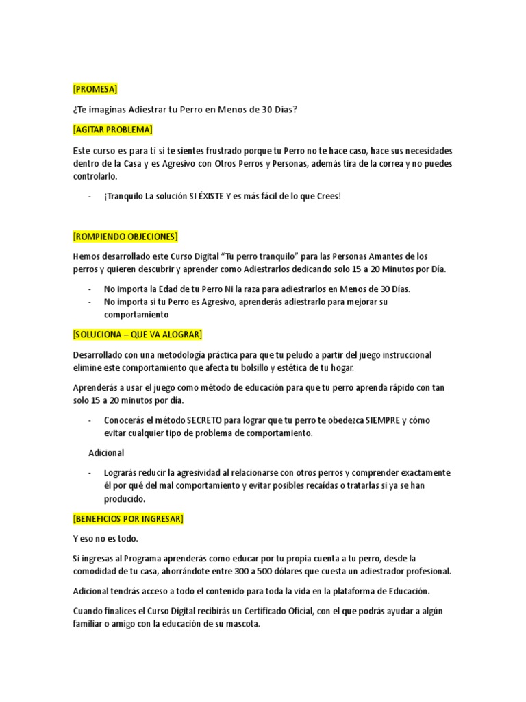 Estructura Mini VSL - Nicho Adiestramiento Canino PDF | PDF