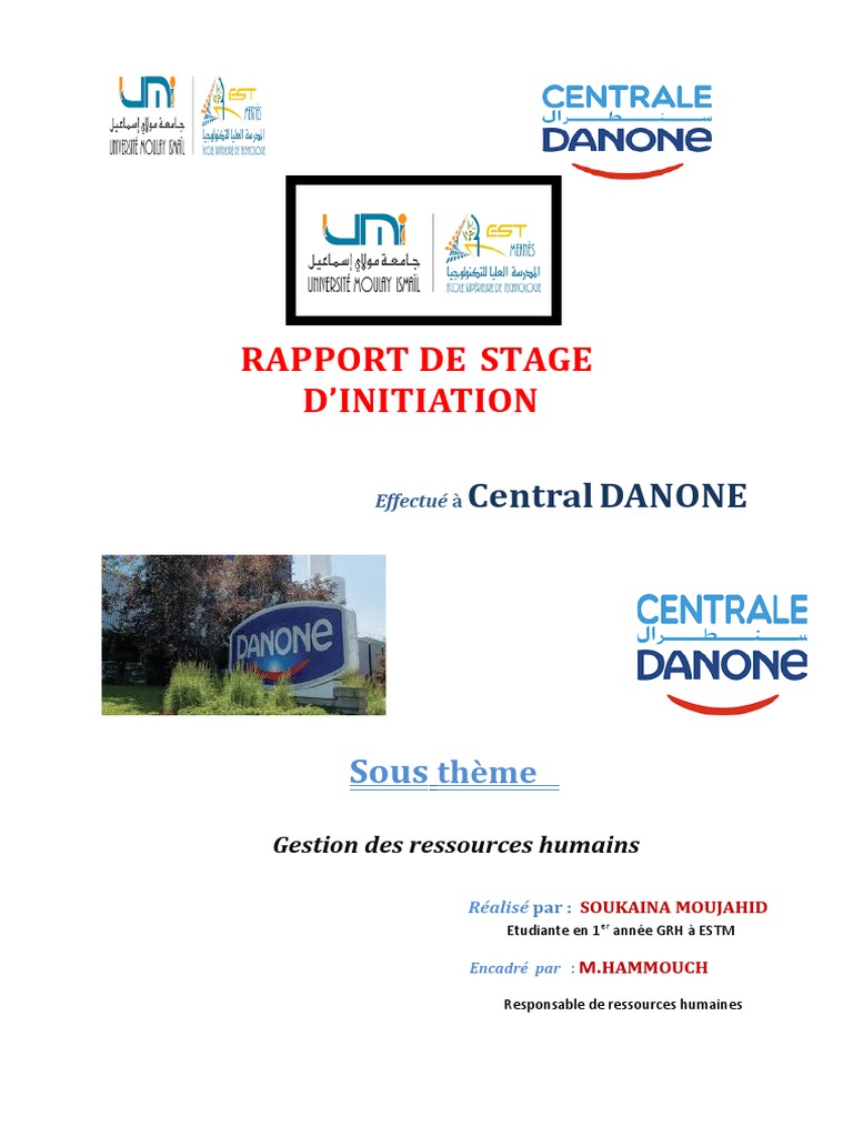 Rapport de stage à Centrale Danone | PDF | Laitages | Gestion des ...