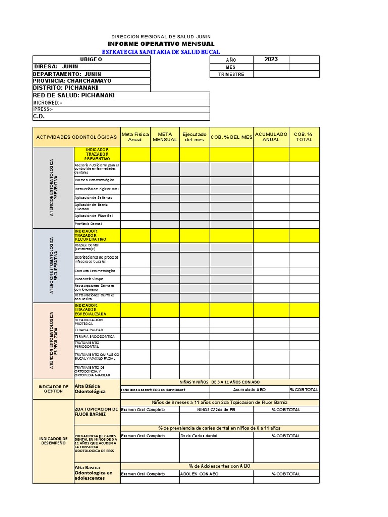 Modelo de Informe Mensual | PDF