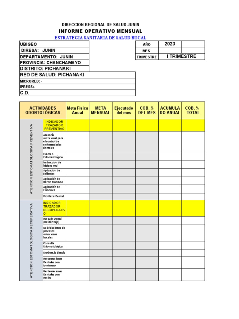 Modelo Trimestral Informe Operativo Mensual.xlsx | PDF | Odontología ...