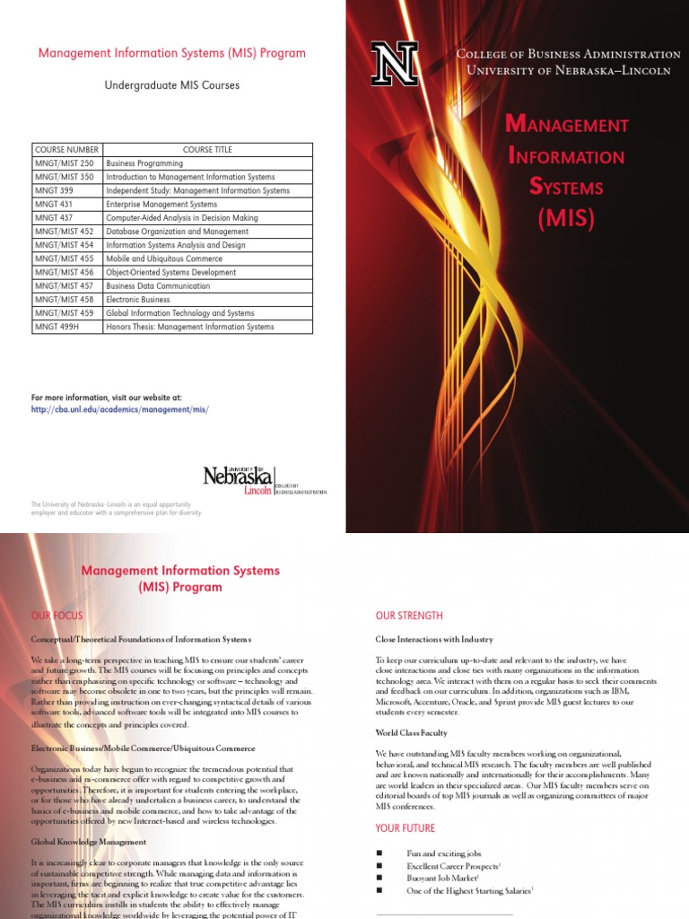MIS Brochure | Download Free PDF | Management Information System ...