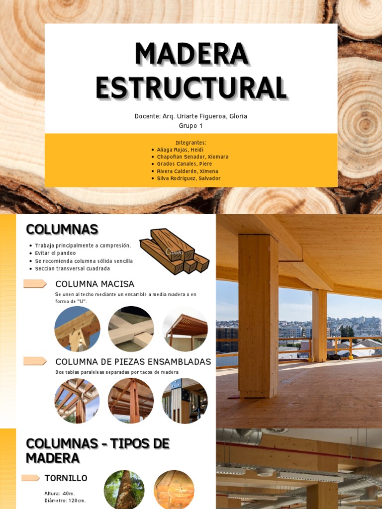 Tipos y Usos de Madera Estructural | PDF | Madera | Ciencias fisicas