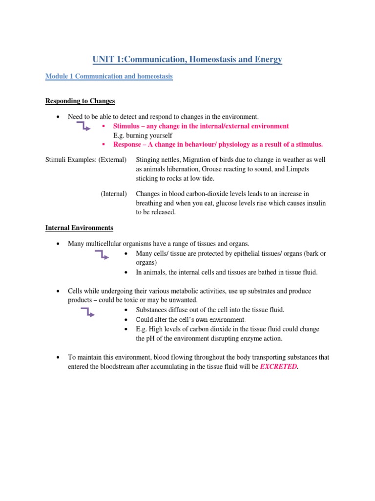 Communication Homeostasis | PDF