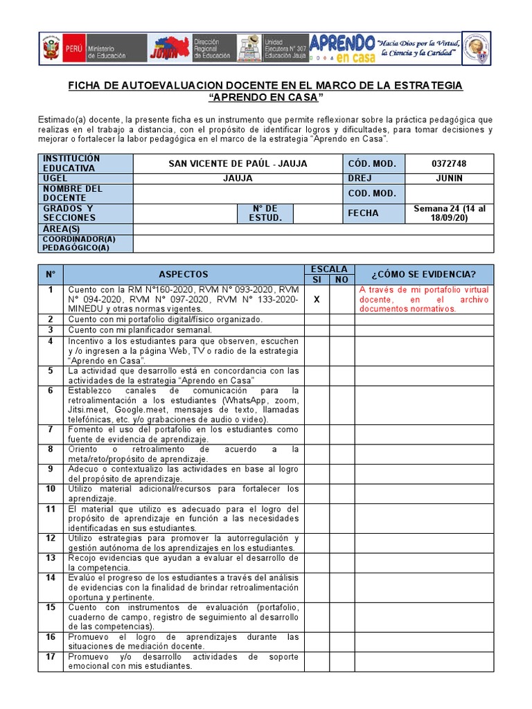 Ficha de Autoevaluación Docente | PDF | Aprendizaje | Evaluación