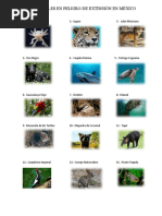 Simbolos Mayores y Menores de Honduras | PDF