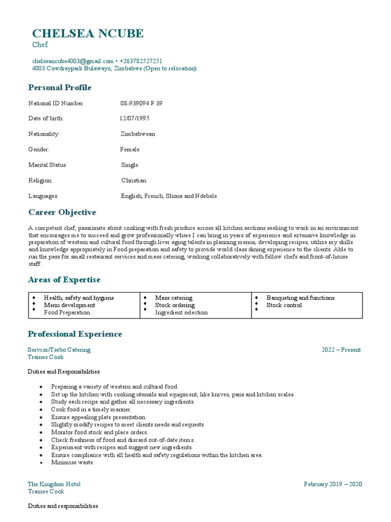 Chef CV for Zimbabwe Job Market | PDF | Wellness | Technology & Engineering