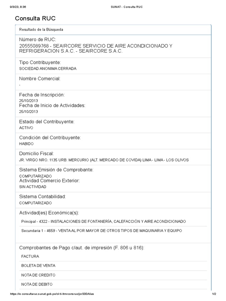 Consulta RUC PDF | PDF