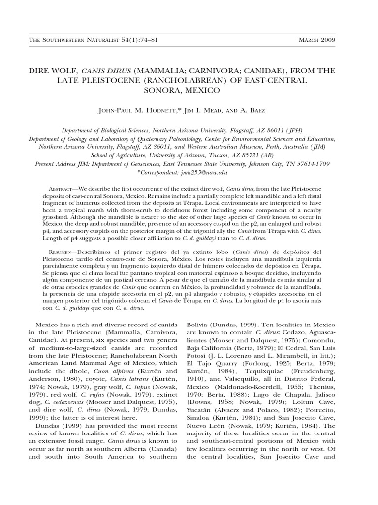 Dire Wolf Discovery in Sonora, Mexico | PDF