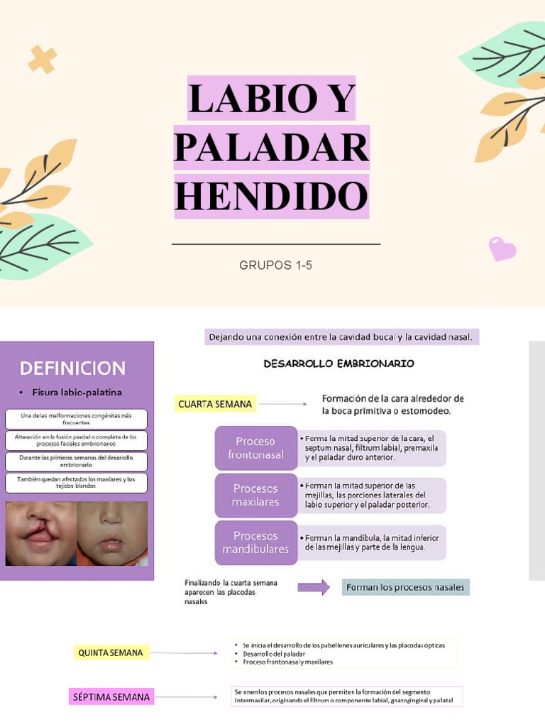 LABIO LEPORINO Y PALADAR HENDIDO (1).pptx | PDF