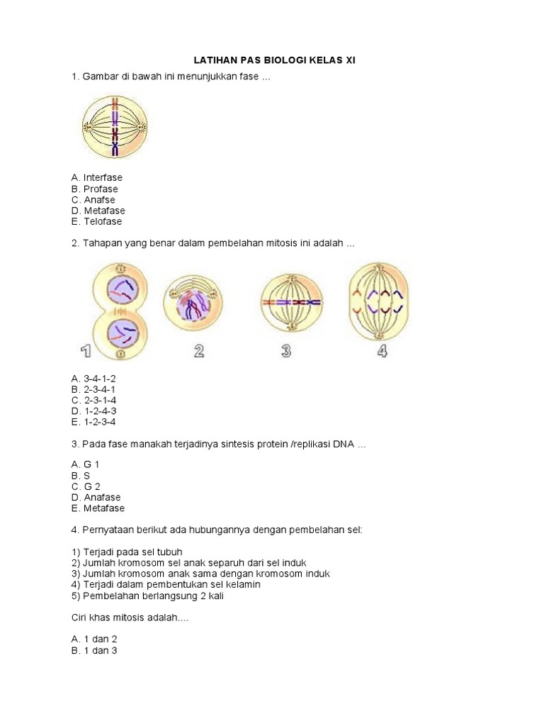 Sifat dan Struktur DNA dalam Biologi | PDF | Kajian Bahasa Asing ...