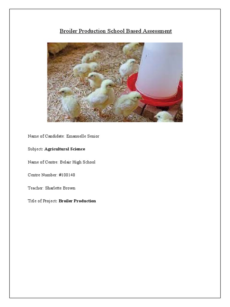 Agricultural Science Broiler Production Sba Sample | PDF