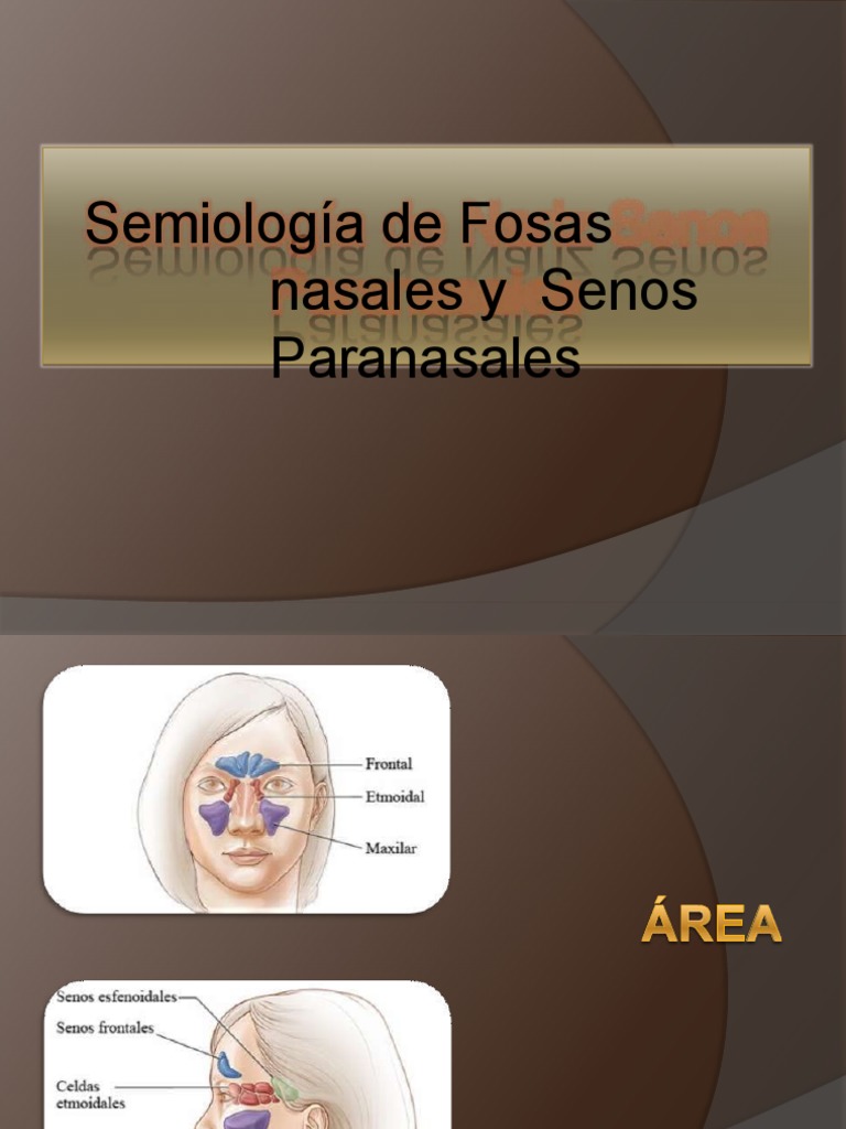 Semio de Fosas y Senos Paranasales | PDF