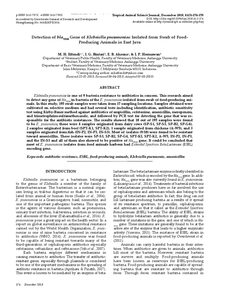 2018 Ipb PDF | PDF | Technology & Engineering