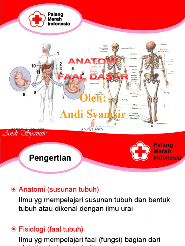 2. Anatomi & Faal.ppt | PDF
