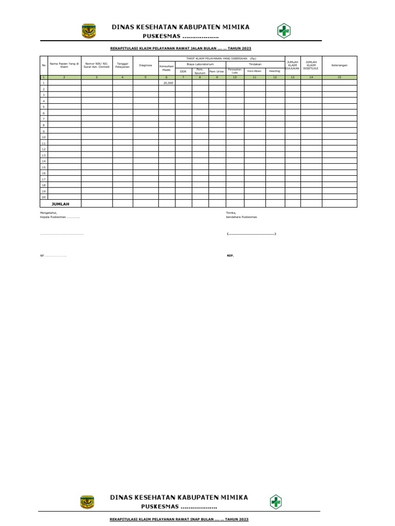 Rekap Klaim Layanan Kesehatan | PDF