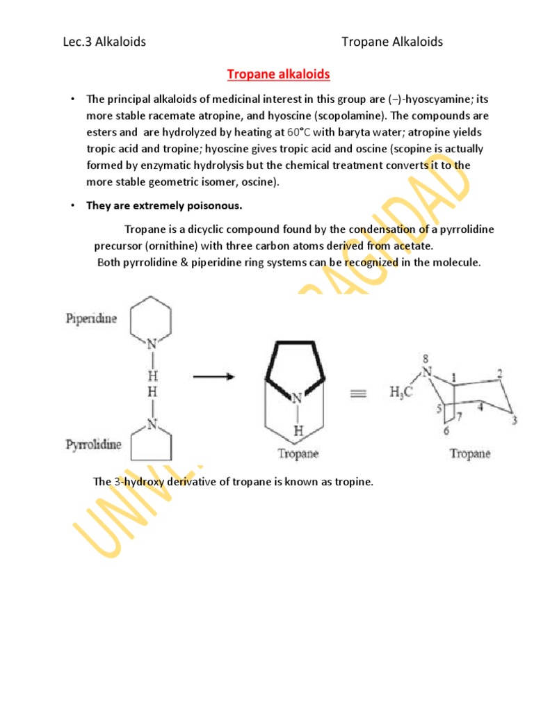 Tropane Alkaloids: Biosynthesis & Uses | PDF