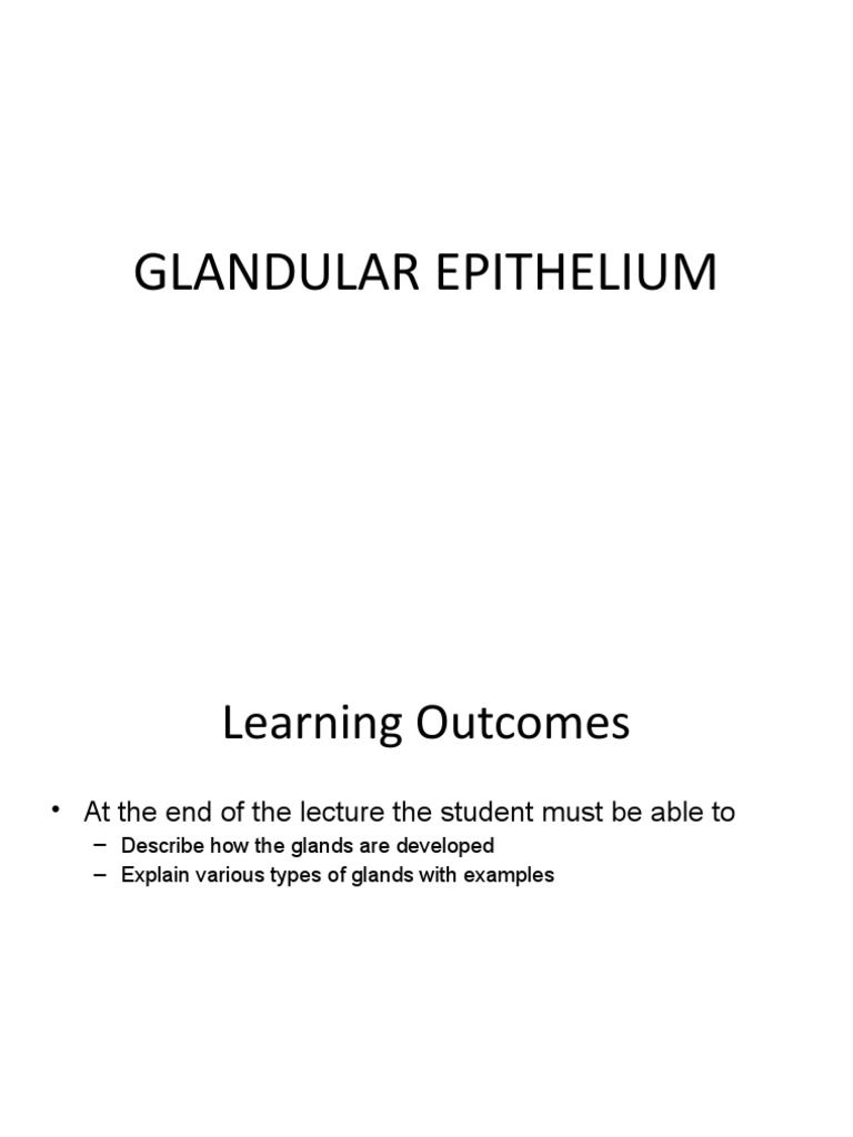 Glandular Epithelium: Types & Functions | PDF