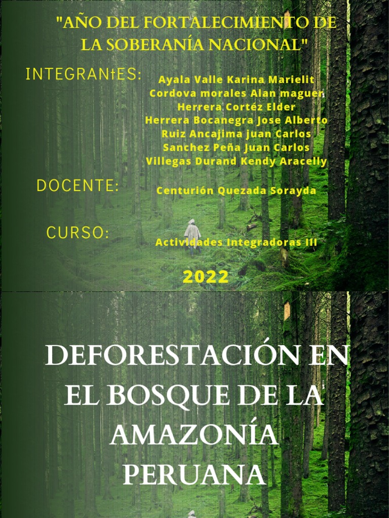 Collage Sobre La Deforestacion en El Bosque de La Amazonia Peruana | PDF