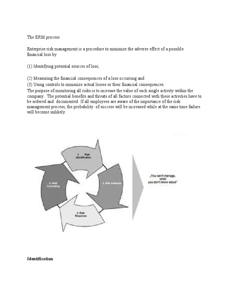 The Erm Process Pdf