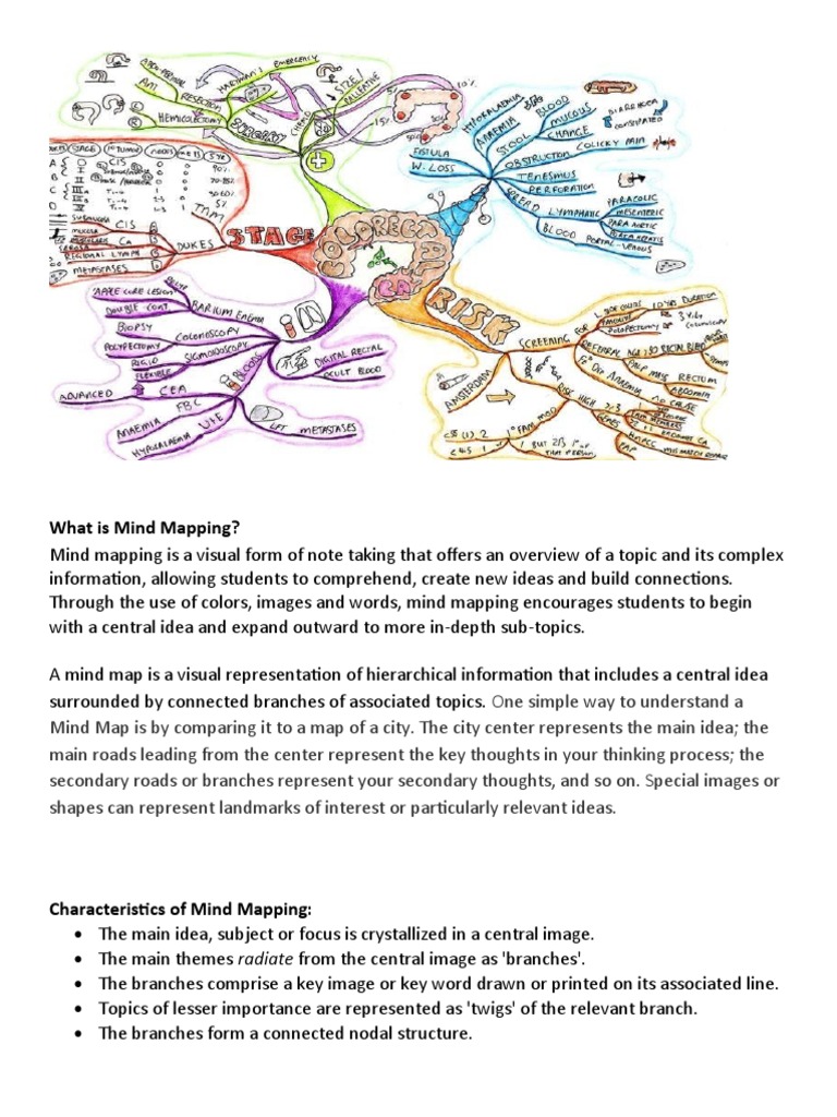 What Is Mind Mapping | PDF | Cognitive Science | Neuroscience