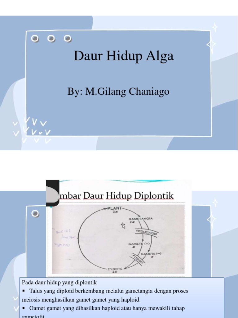028 M.Gilang Chaniago TAKSMON Daur Hidup Alga | PDF