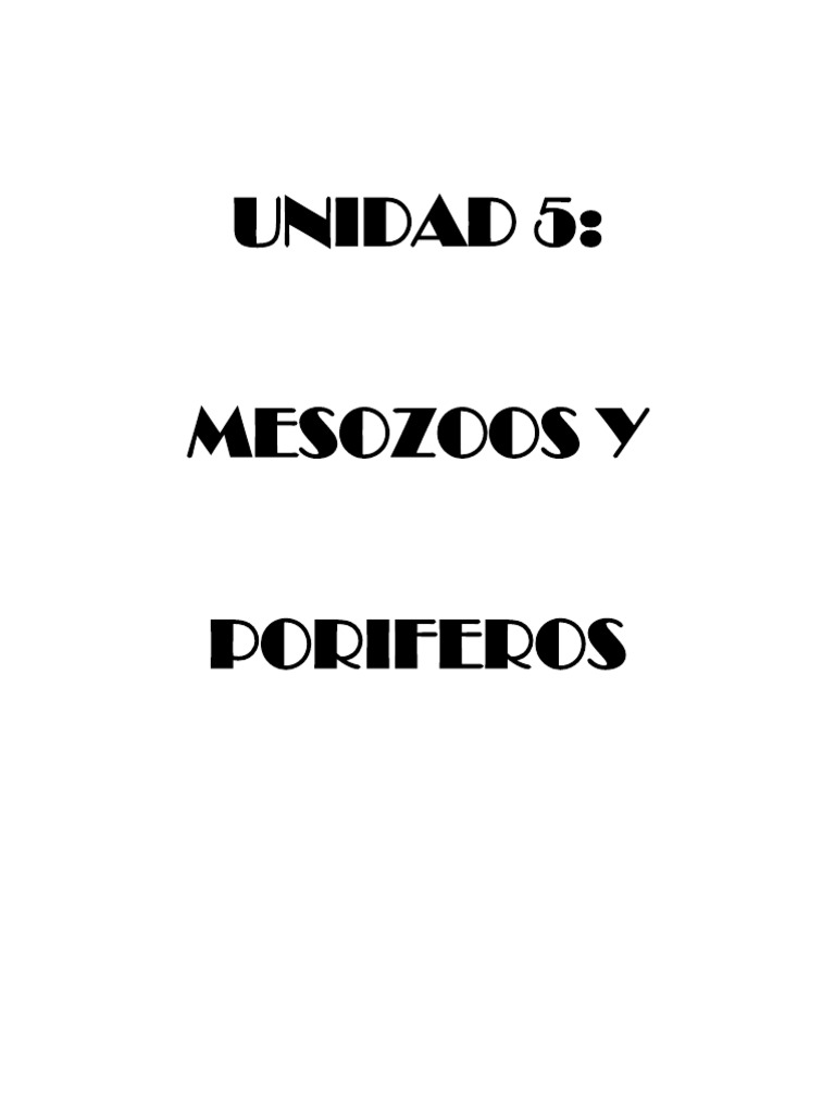 Mesozoos y Poríferos: Características y Orígenes | PDF | Ciencias sociales