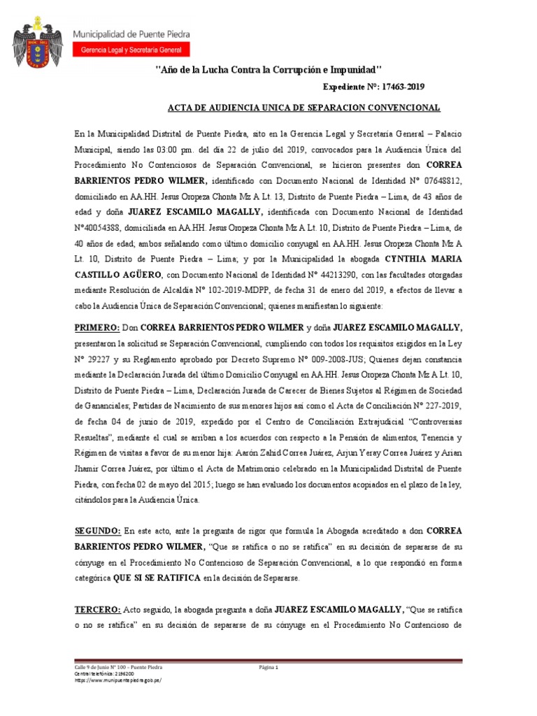 Acta de Audiencia 17463 | PDF