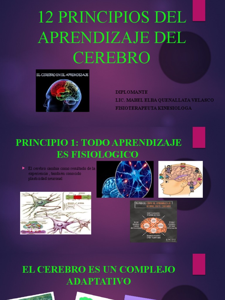 12 Principios Del Aprendizaje Del Cerebro 1 | PDF