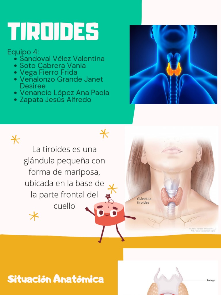 Tiroides PDF | Descargar gratis PDF | Tiroides | Hormona estimulante de la tiroides