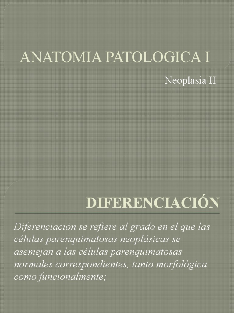 Anaplasia y sus características en neoplasias | PDF | Neoplasias ...